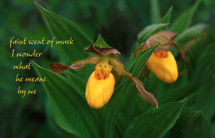 Haiga: A Marriage of Image & Haiku #1 – Ray Rasmussen: All Things ...